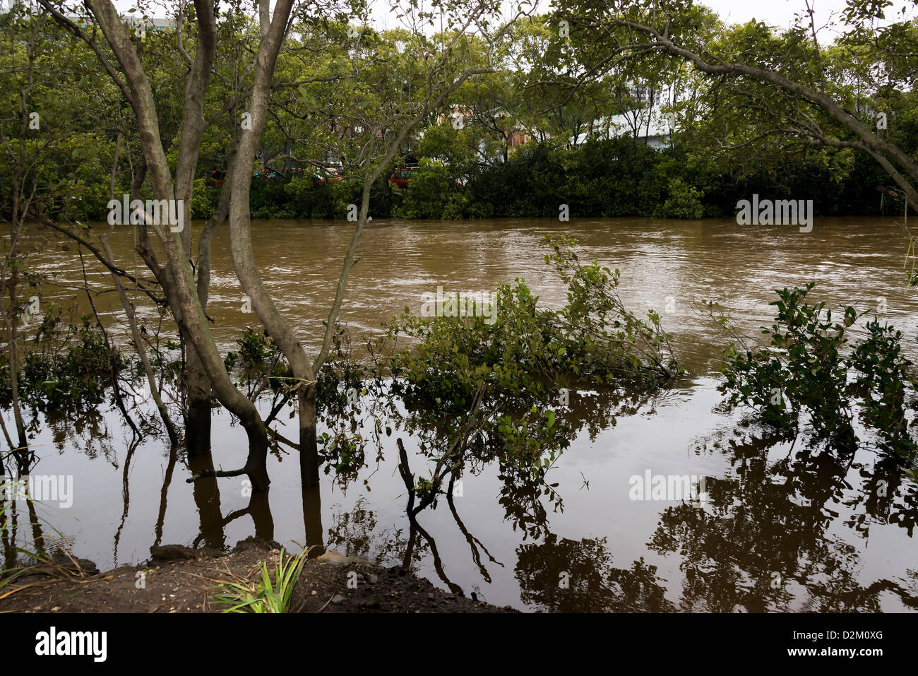 Brisbane floods people hi-res stock photography and images - Alamy