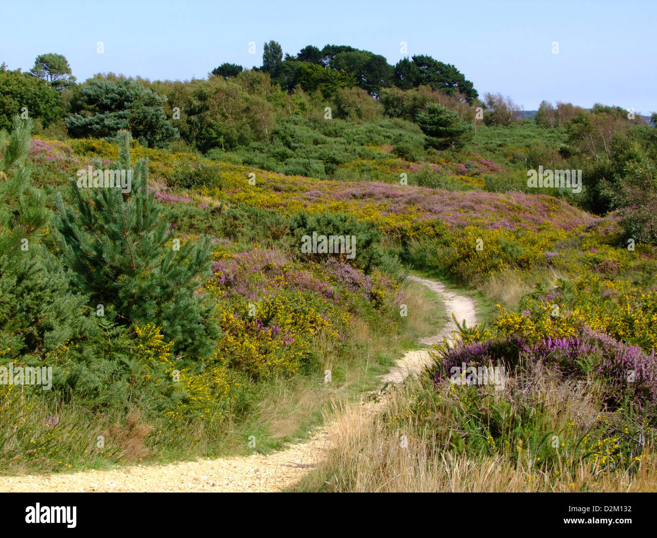 Ham common hi-res stock photography and images - Alamy