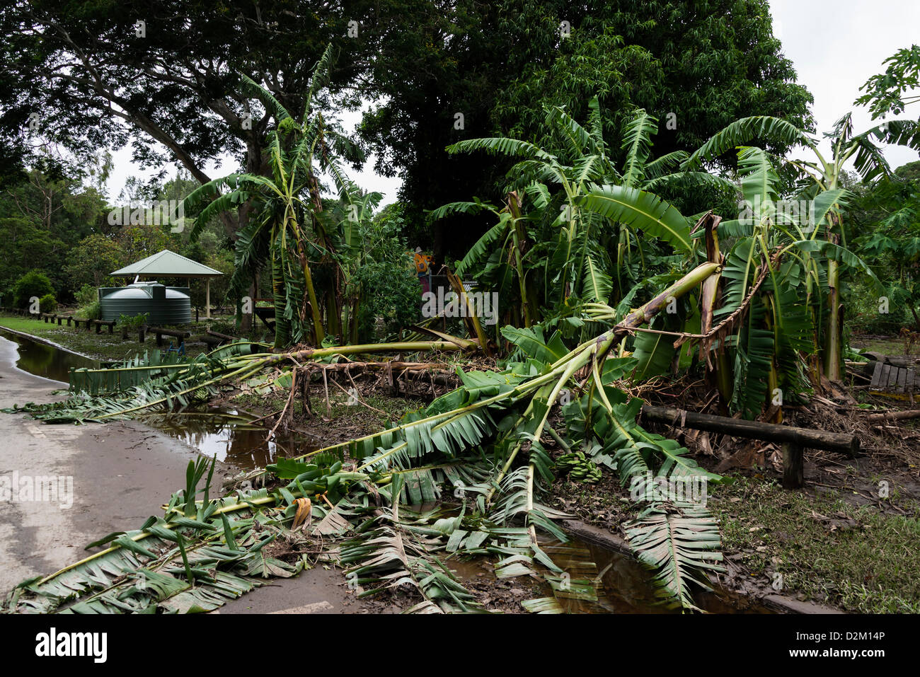 Brisbane floods people hi-res stock photography and images - Alamy