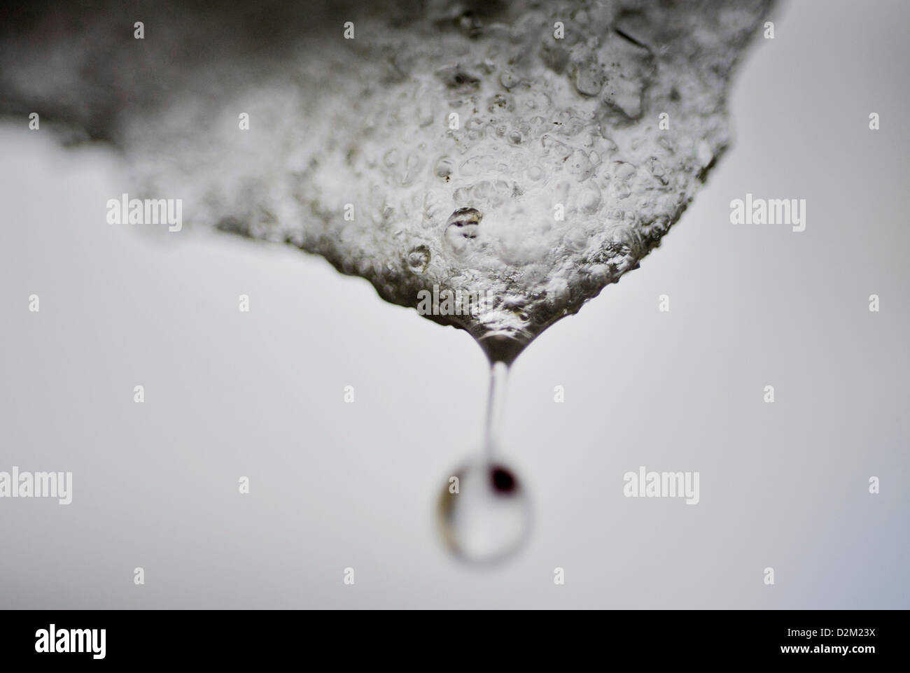 A water drop falls from melting ice in Munich, Germany, 28 January 2013 ...
