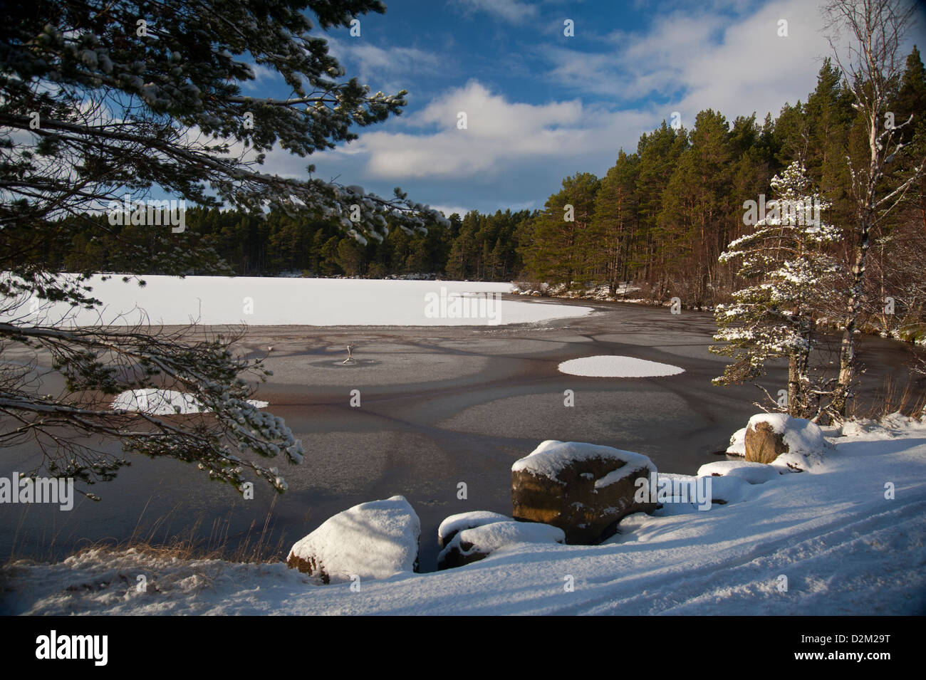 Frozen Loch Garten in the foothills of the snow covered Cairngorms ...