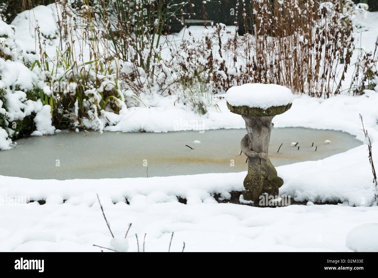 Snow covered frozen garden pond in winter Stock Photo - Alamy