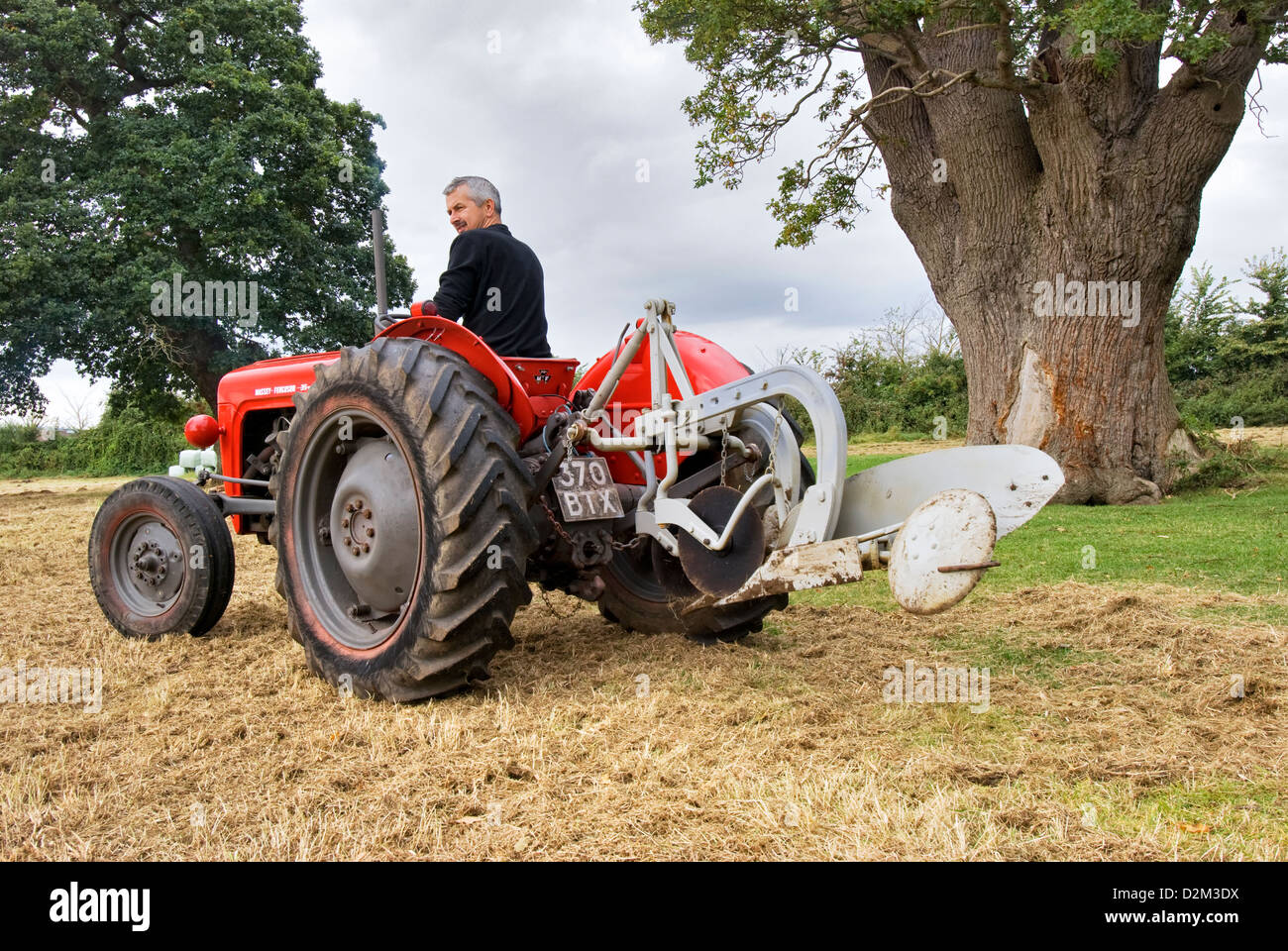 Tractor owner driving a renovated red Massey Ferguson 35 tractor with ...