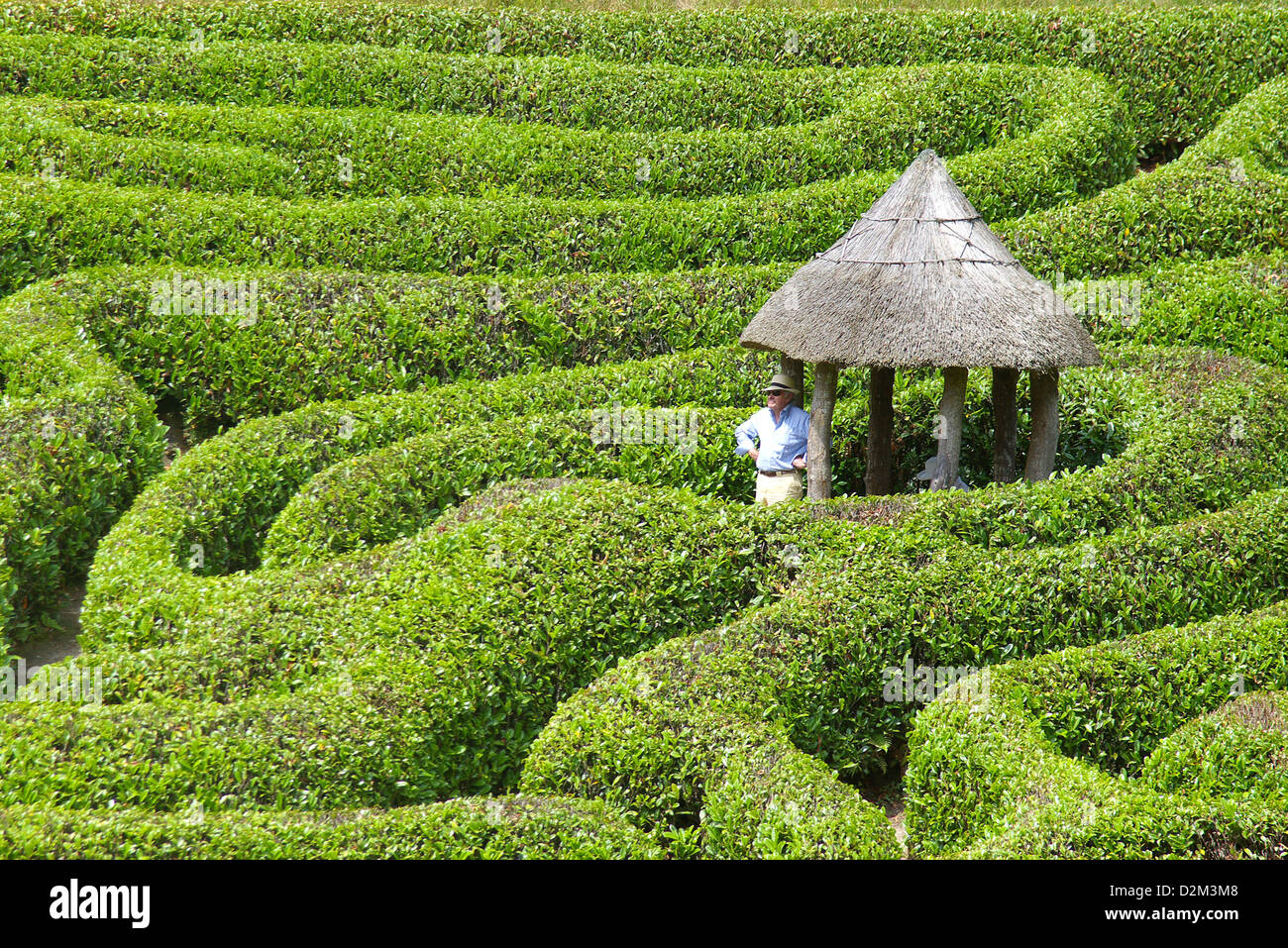 Man in a maze Stock Photo - Alamy