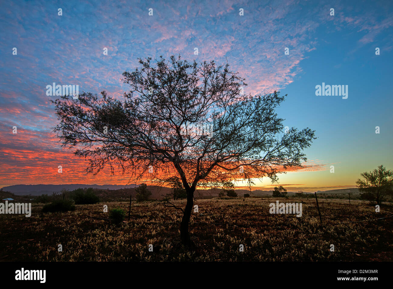 Australian Outback Sunset