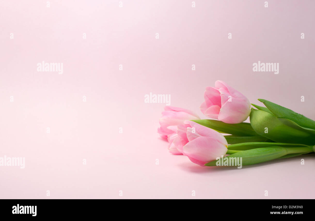 Same color hi-res stock photography and images - Alamy