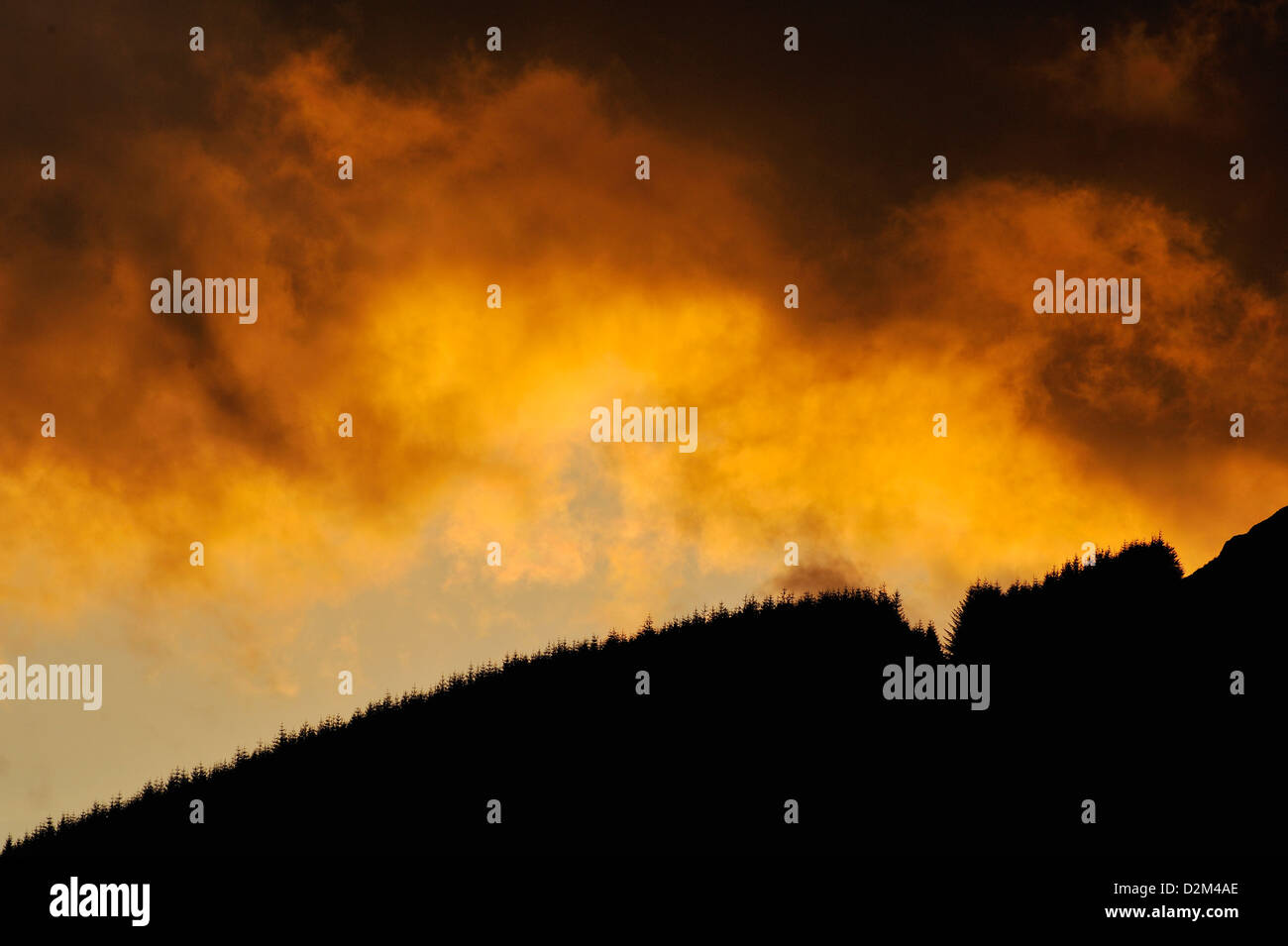 Dramatic sunset sky above a pine-clad mountain ridge at Killin ...