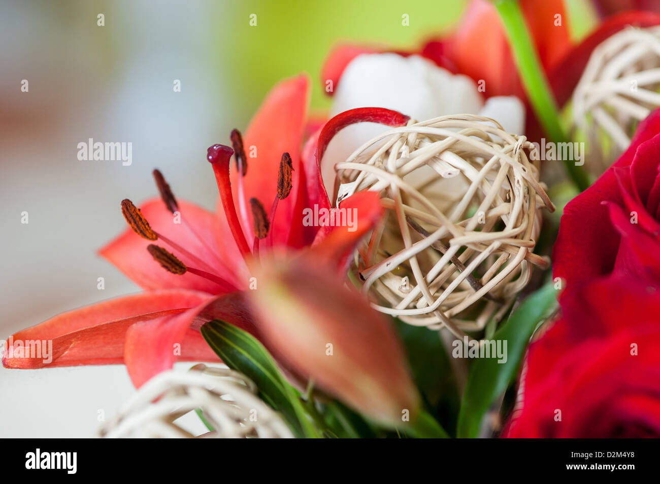 Bouquet elements hi-res stock photography and images - Alamy