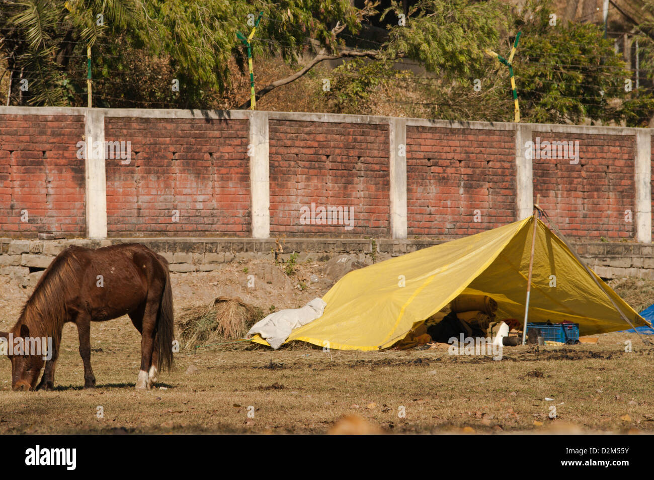 Rewalsar Himachal Pradesh India Stock Photo - Alamy