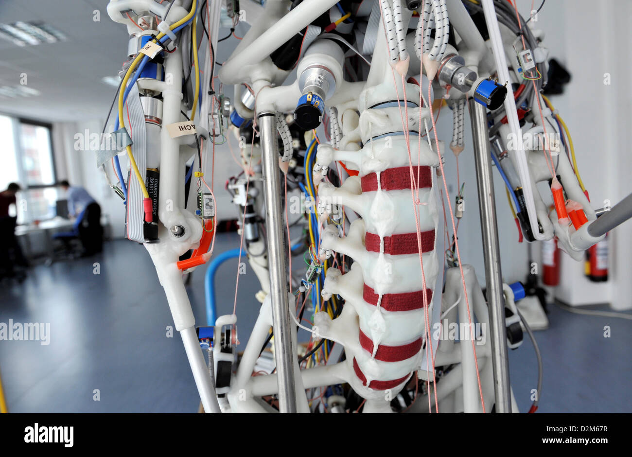 A tendon driven robots developed as part of the EU project Eccerobot ...