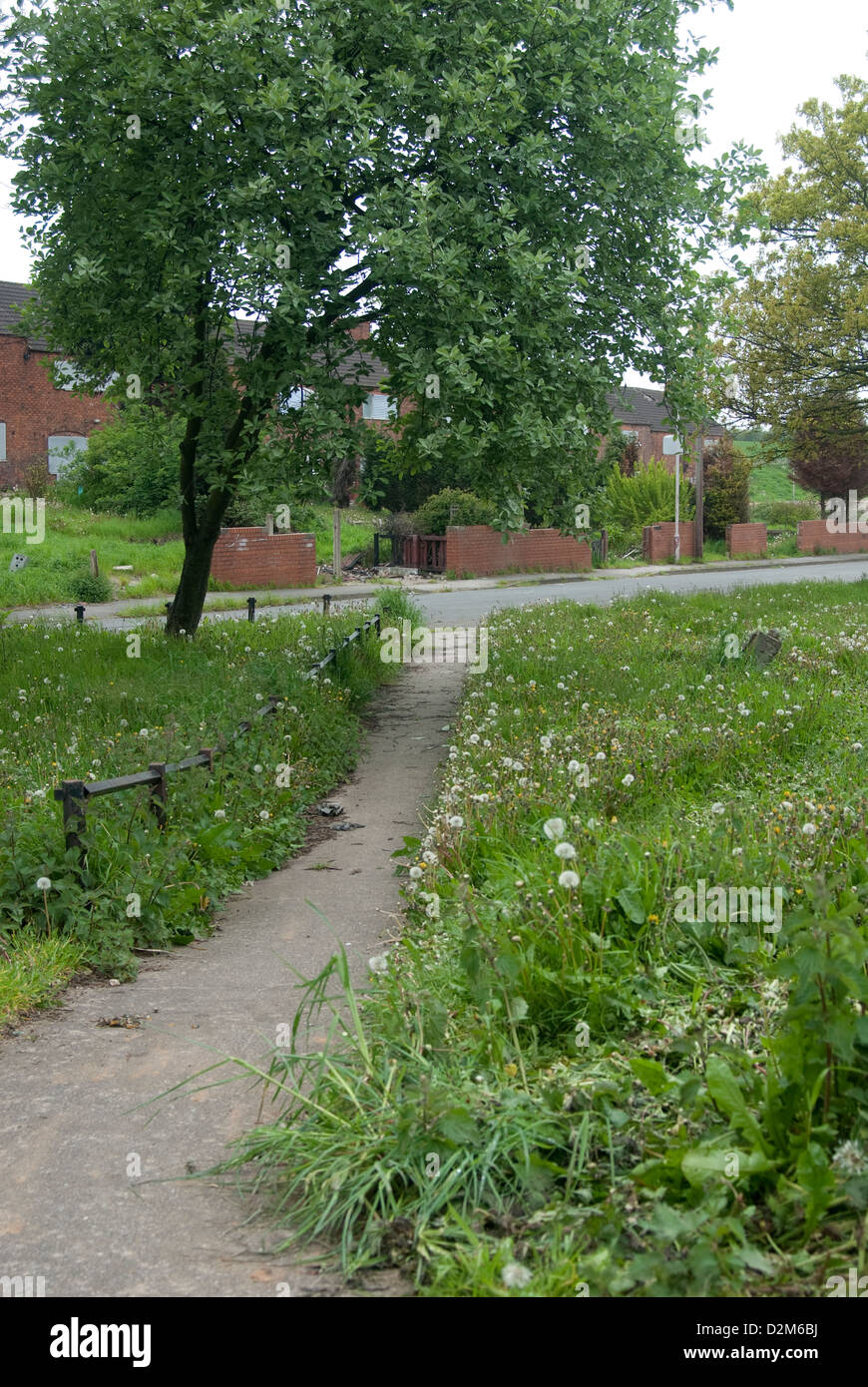 a concrete footpath leading through overgrown grassed area Stock Photo ...
