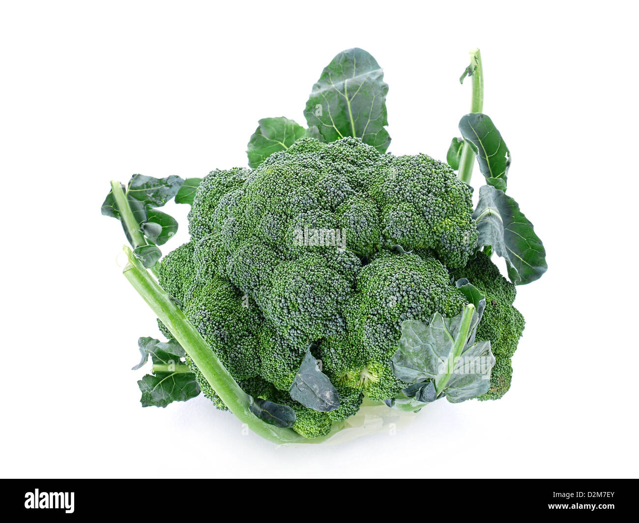 Broccoli cooking Cut Out Stock Images & Pictures - Alamy