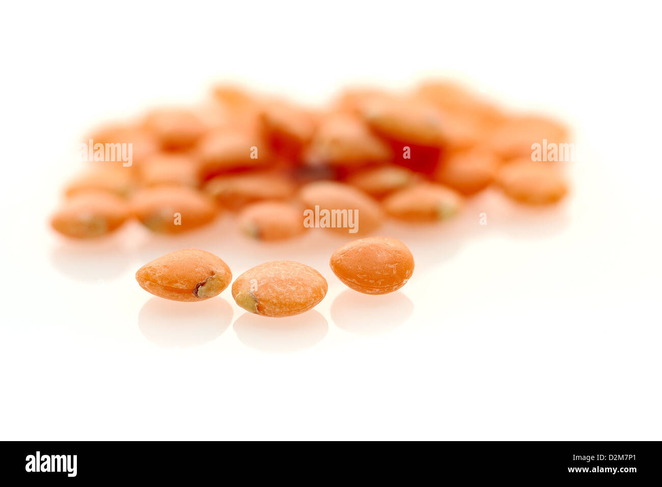 Organic Whole Red Lentils on seamless white background with shadow ...