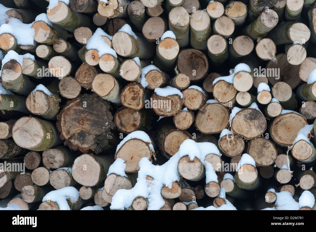 A pile or stack of logs in snow in a wood in winter Stock Photo - Alamy
