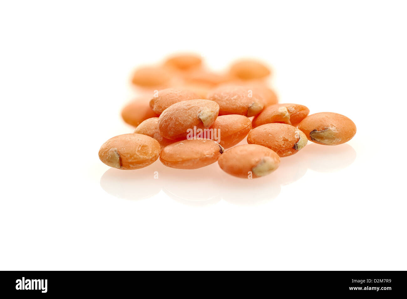 Organic Whole Red Lentils on seamless white background with shadow ...