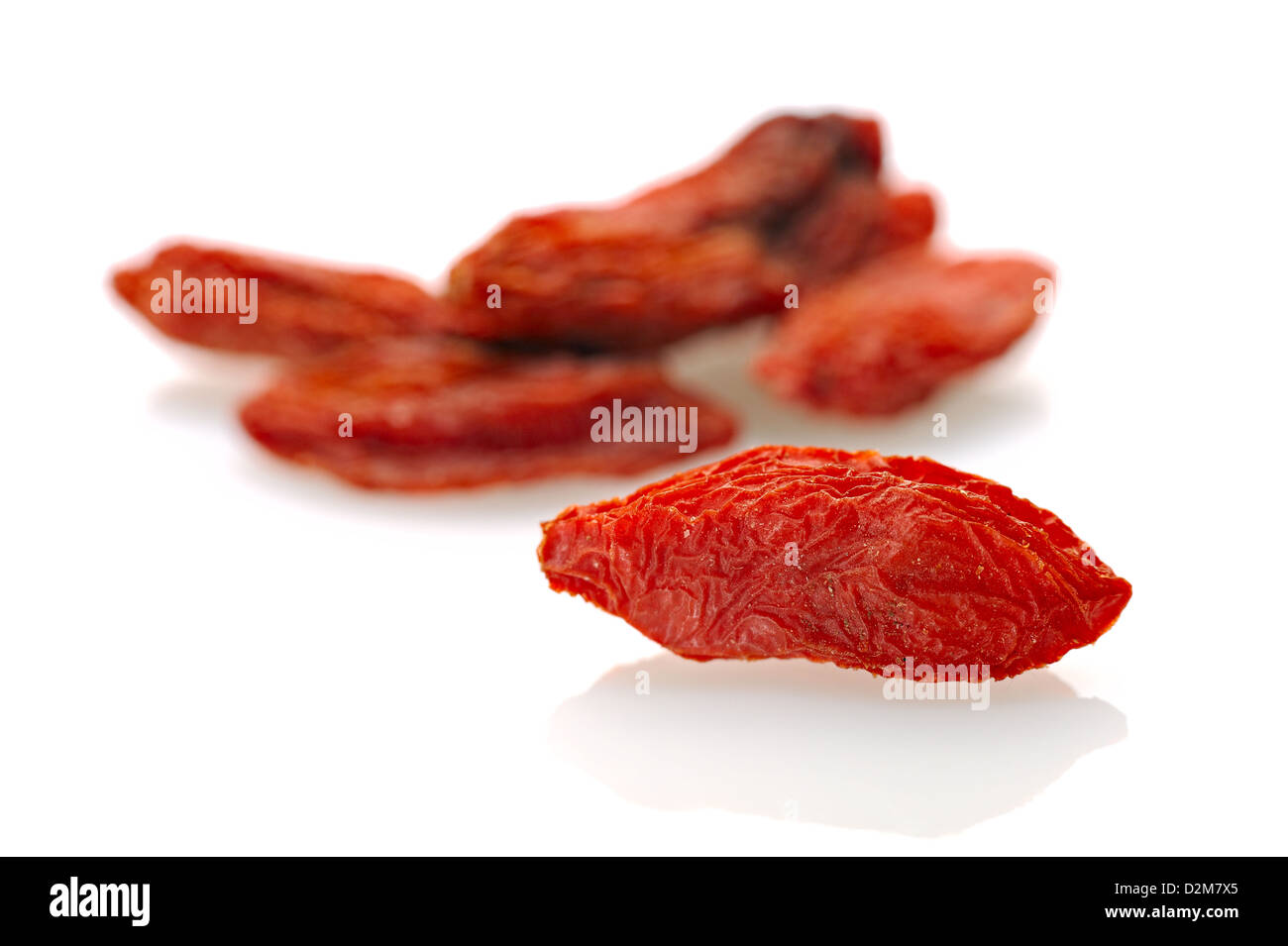 Wolf Berry High Resolution Stock Photography and Images - Alamy