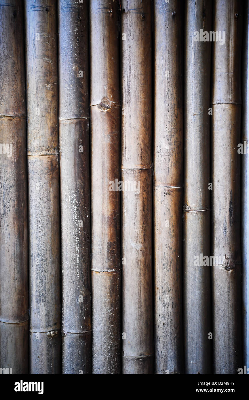 Old growth bamboo hi-res stock photography and images - Alamy