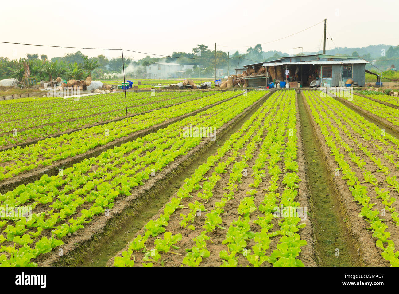 Farmland house hi-res stock photography and images - Alamy