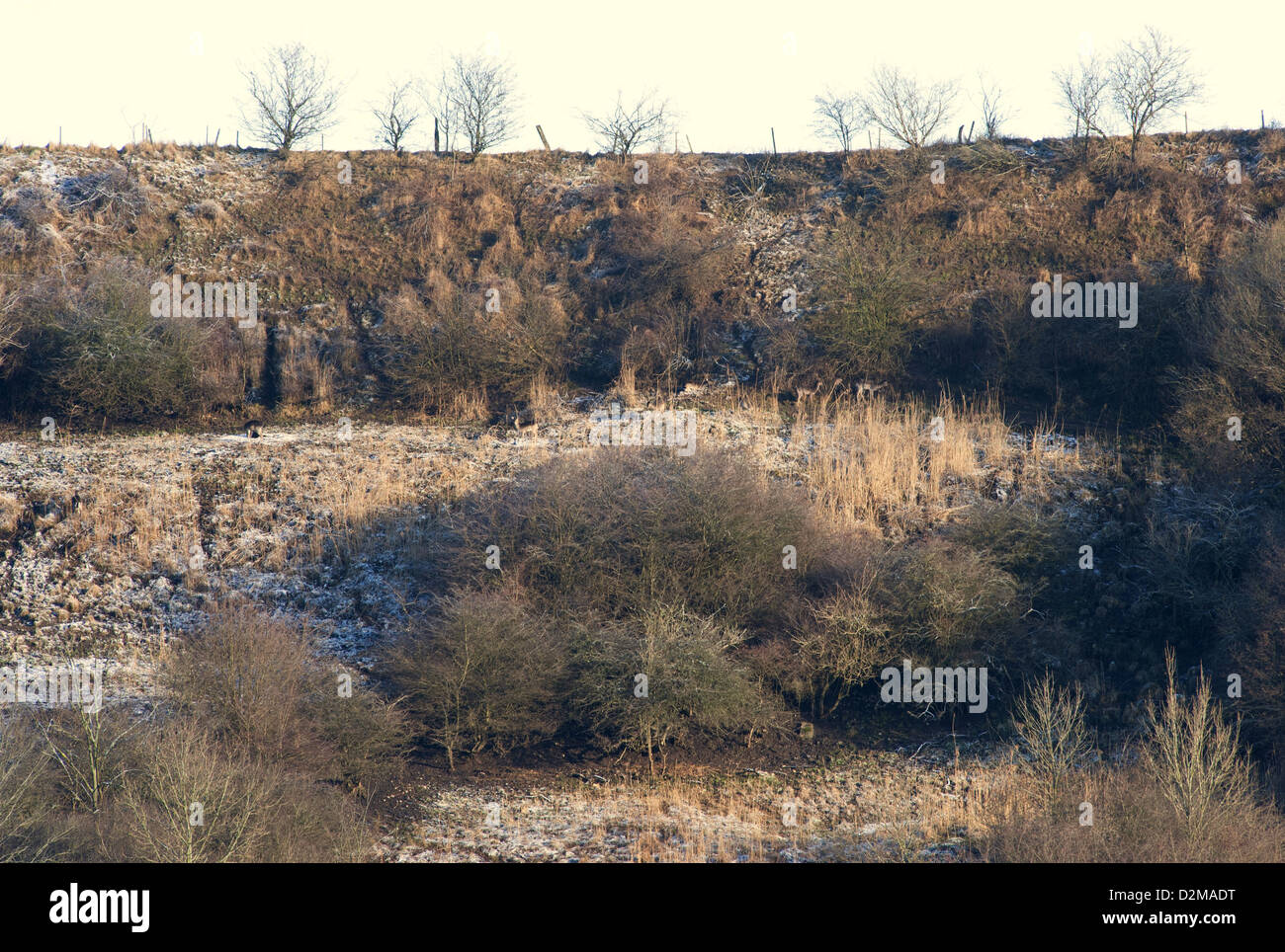 Marsh on the slope of valley Fyledalen Stock Photo - Alamy