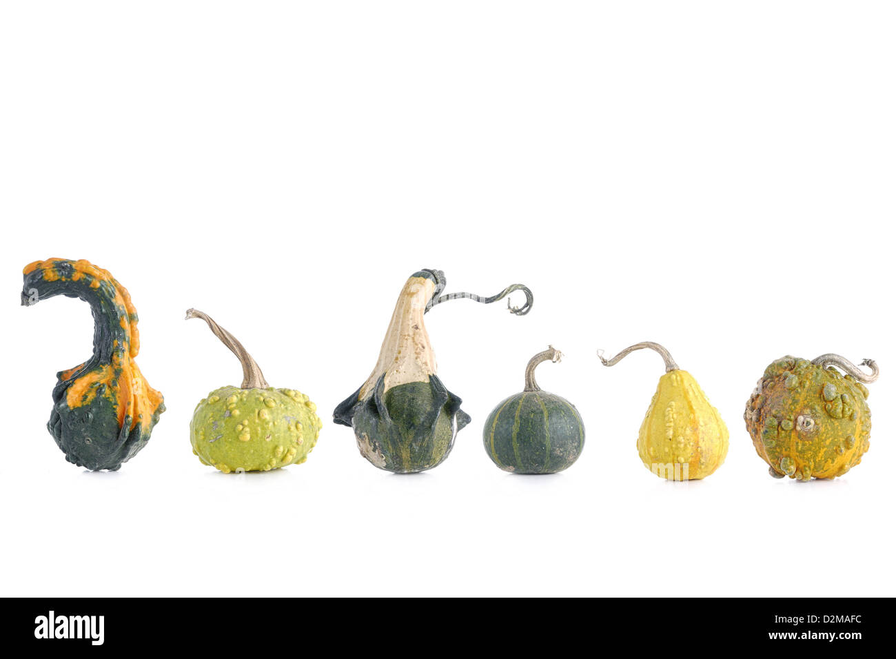 Group of six summer squashes on white background Stock Photo - Alamy