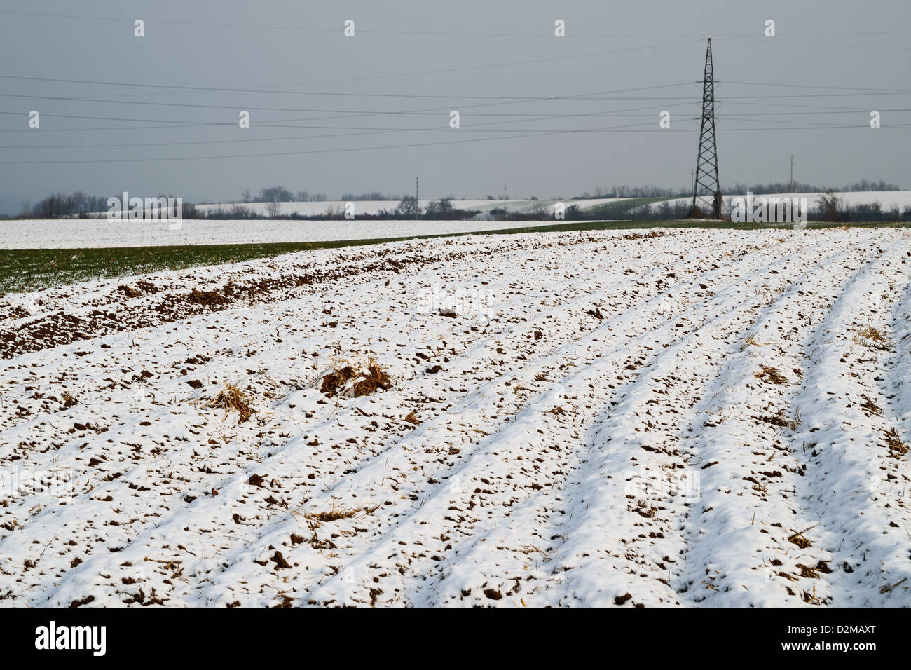 Cultivation snow season frost hi-res stock photography and images - Alamy