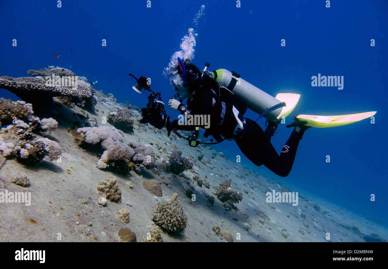 Female deep sea diver hi-res stock photography and images - Alamy