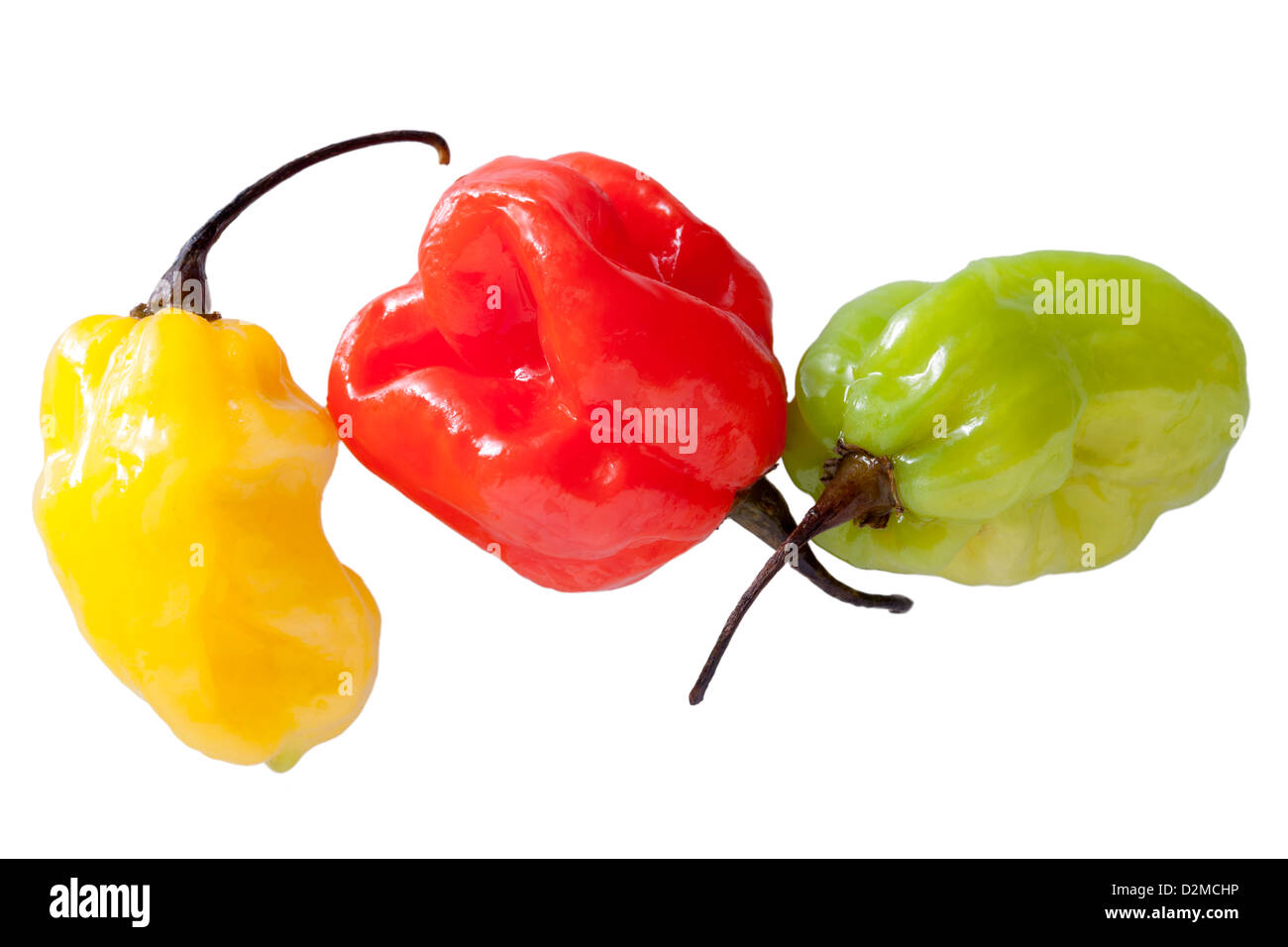 Scotch Bonnet Chilis Stock Photo - Alamy