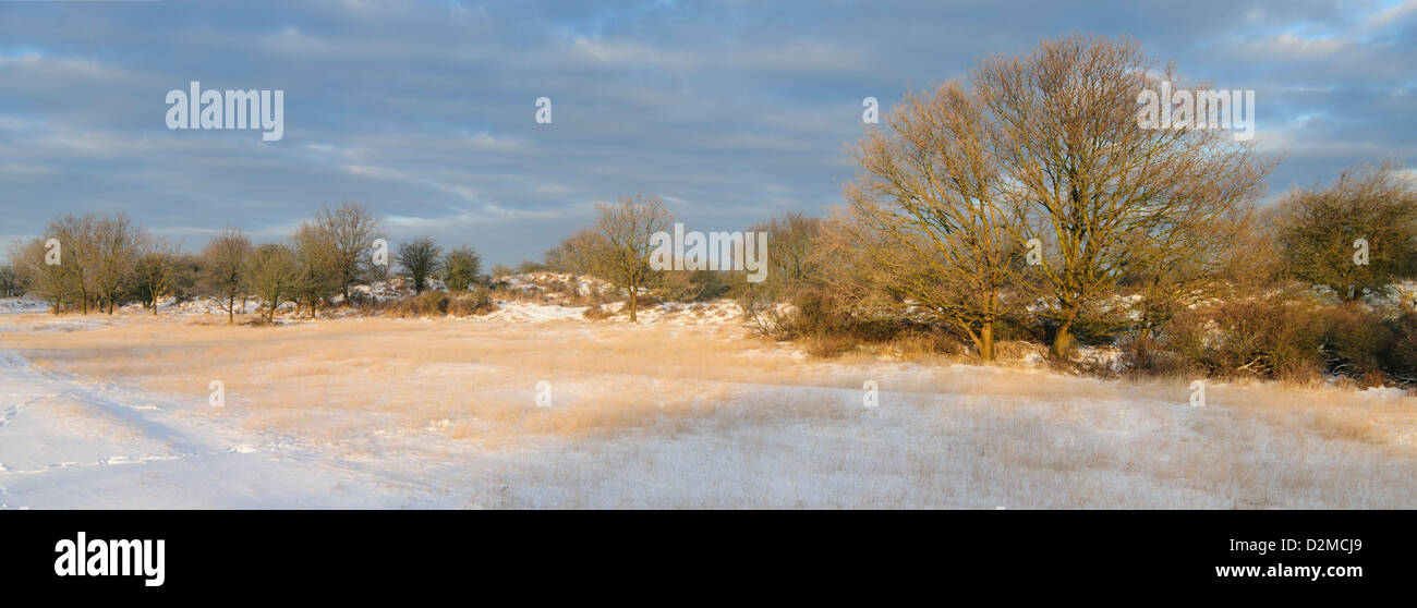 Netherlands zandvoort winter snow hi-res stock photography and images ...