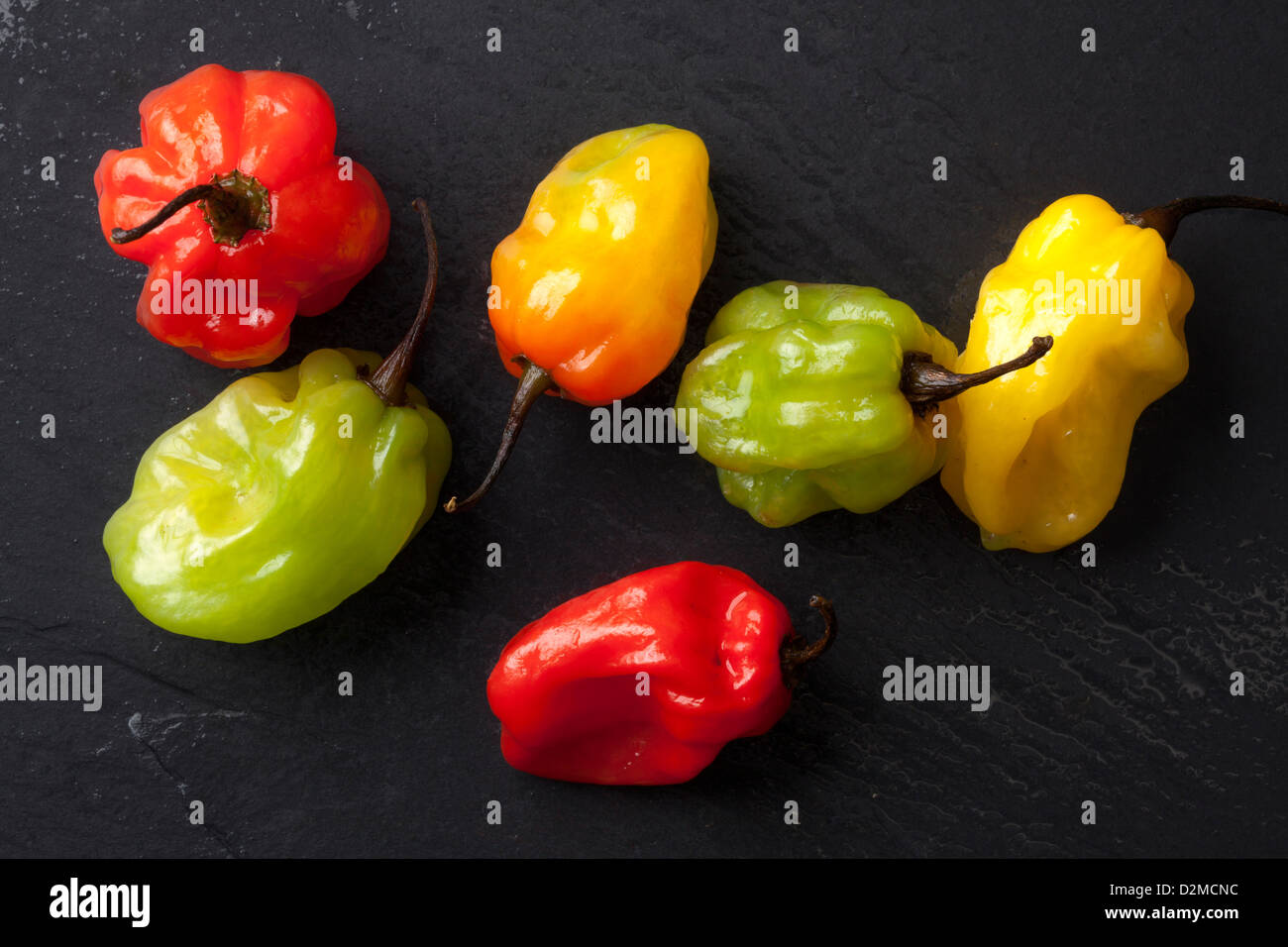 Scotch bonnet chilli hi-res stock photography and images - Alamy