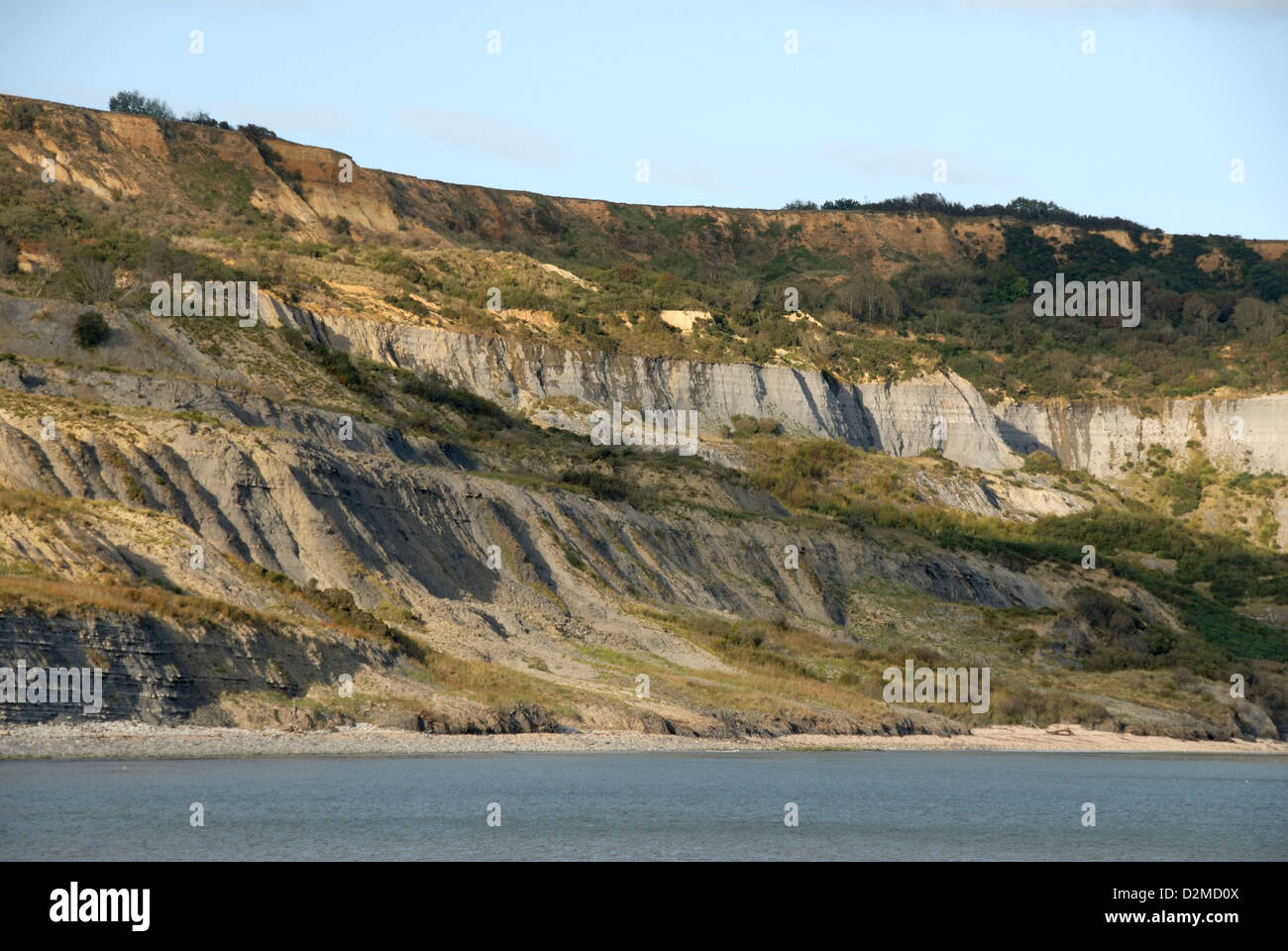 Black ven hi-res stock photography and images - Alamy