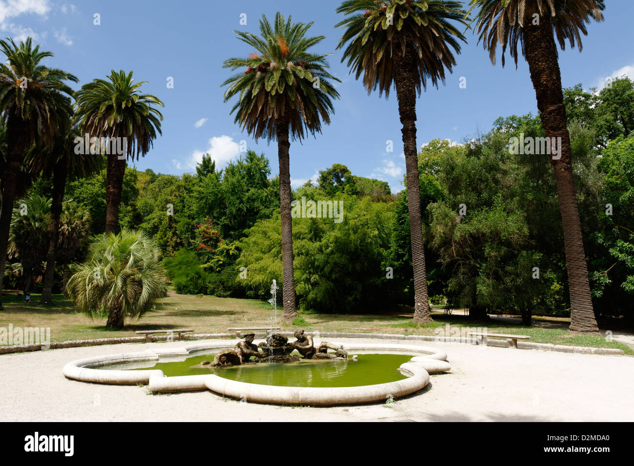 Rome. Italy. Palm trees surrounding the fountain of the tritons at the ...