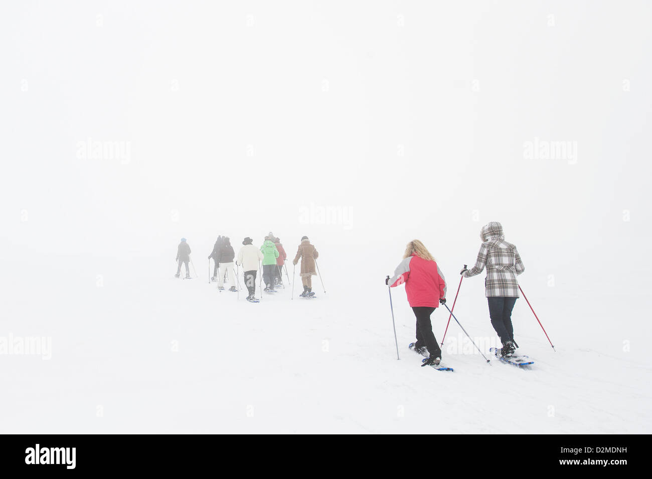 Participants walk through a wintery landscape during a strom and fog ...