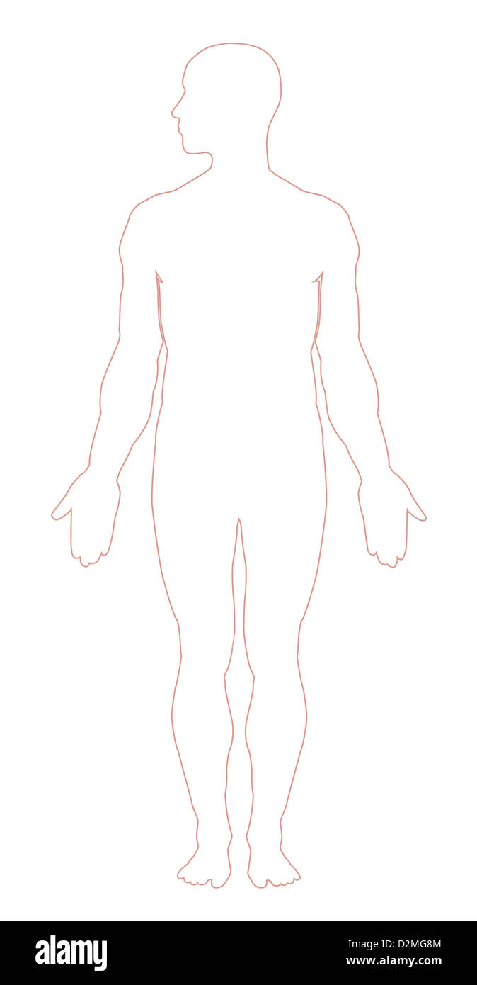 Human body outline. Vector illustration Stock Photo - Alamy