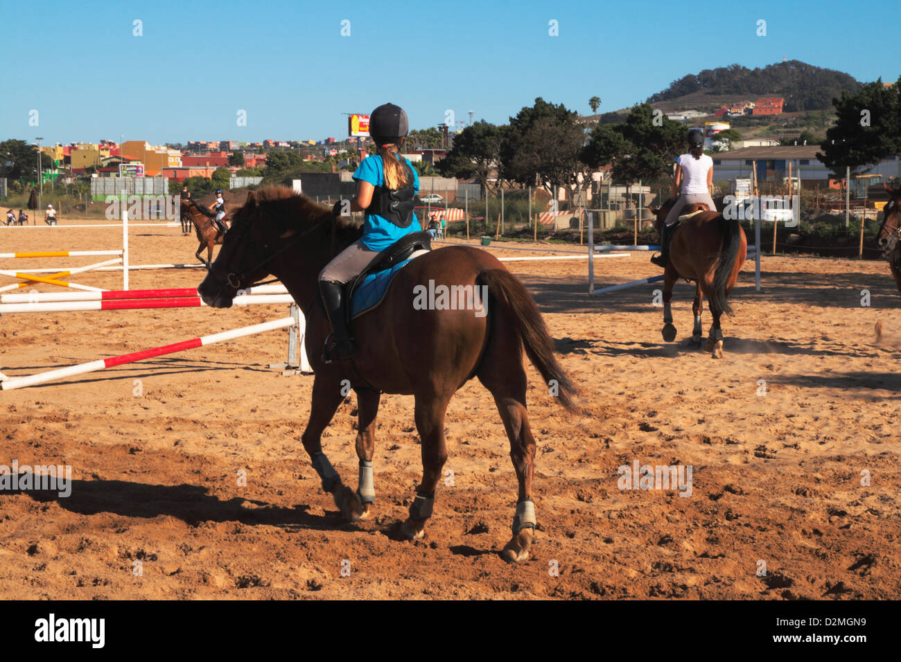 Training lessons in equestrian sports Stock Photo - Alamy