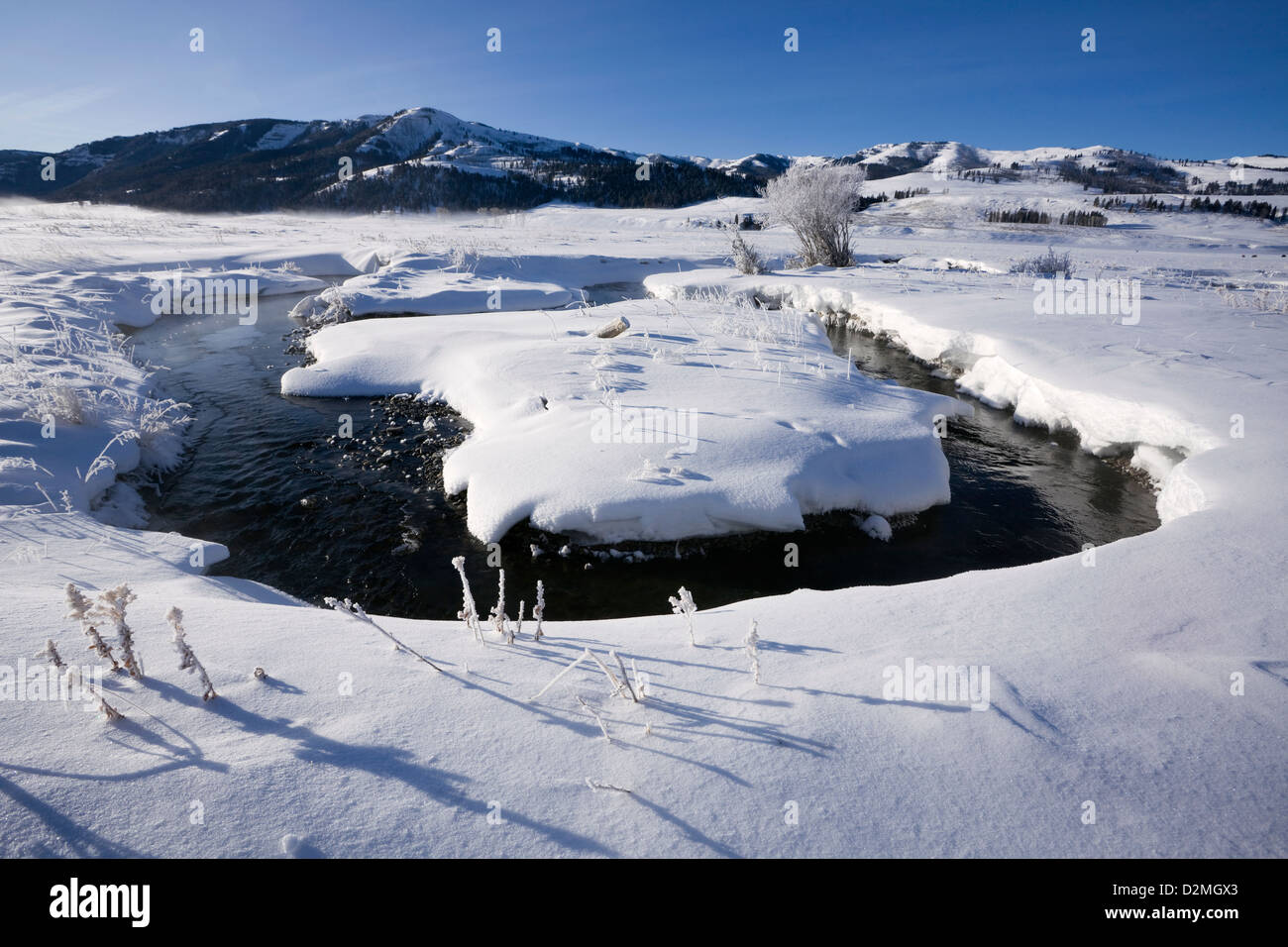 WY00329-00...WYOMING - Frosted grass along the Lamar River in the Lamar ...