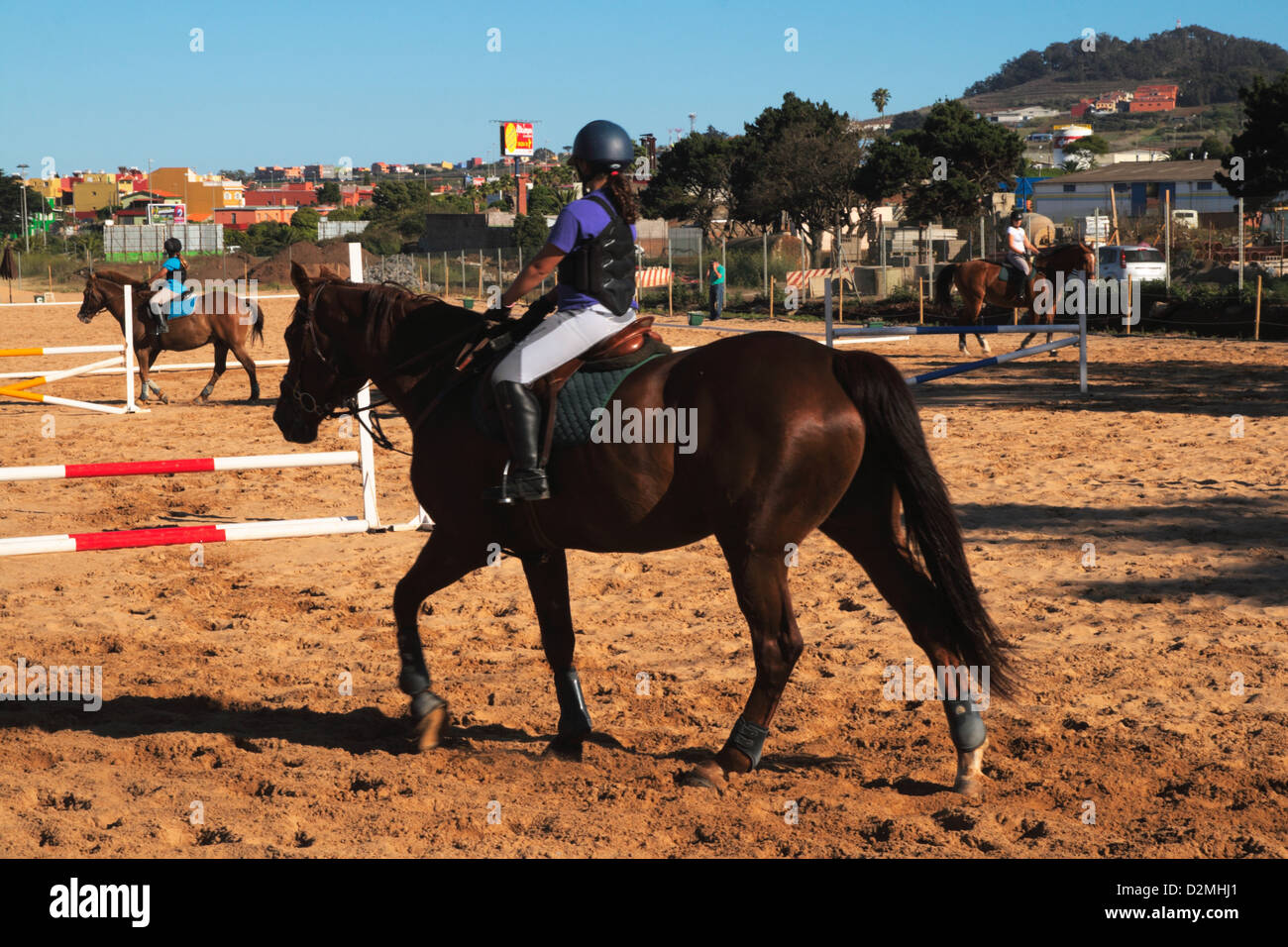 Training lessons in equestrian sports Stock Photo - Alamy