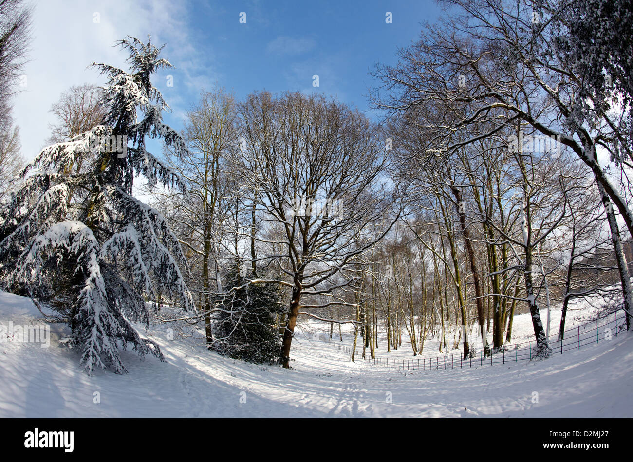 Trees In Winter On Hampstead Heath London UK Stock Photo - Alamy