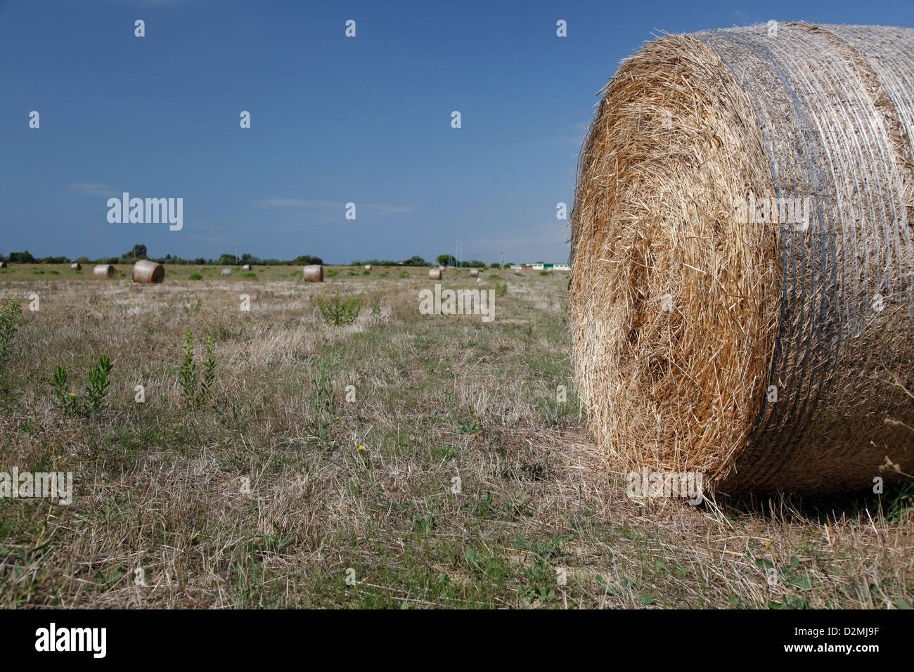 Rolls of hay autumn hi-res stock photography and images - Alamy