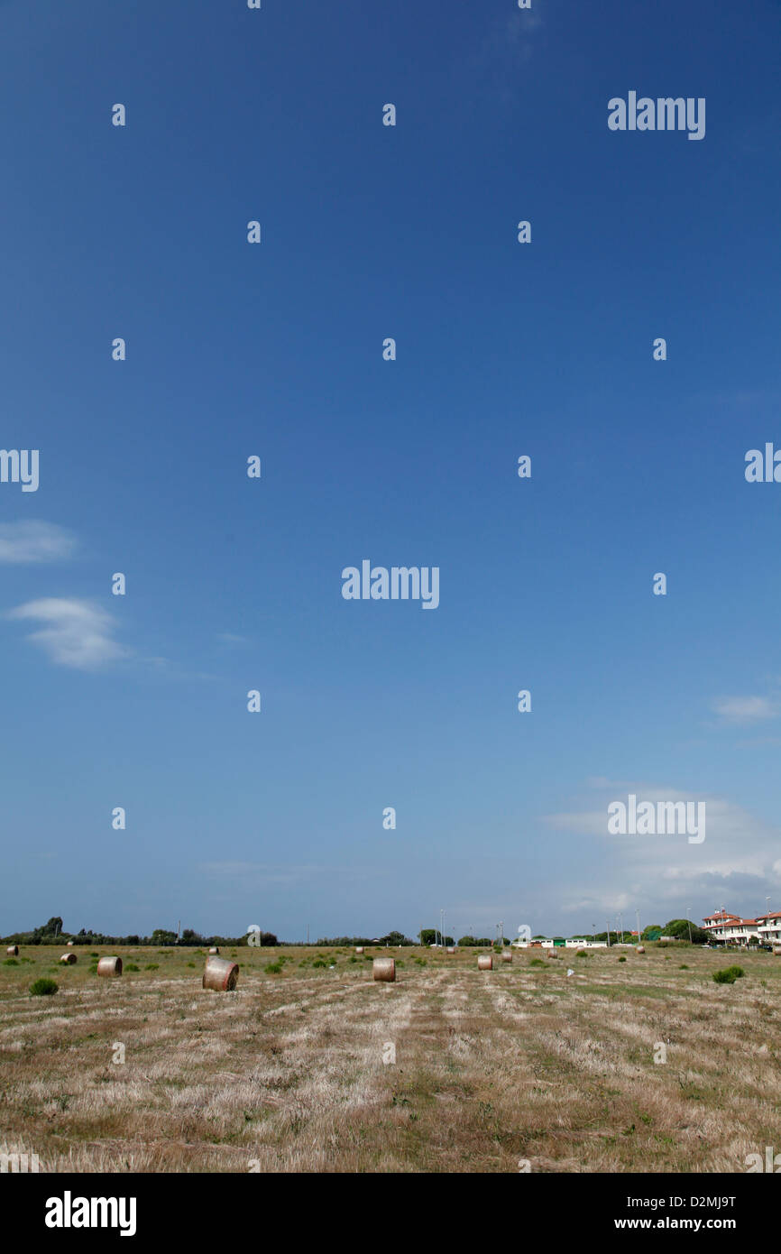 Hay rolls in an open field Stock Photo - Alamy
