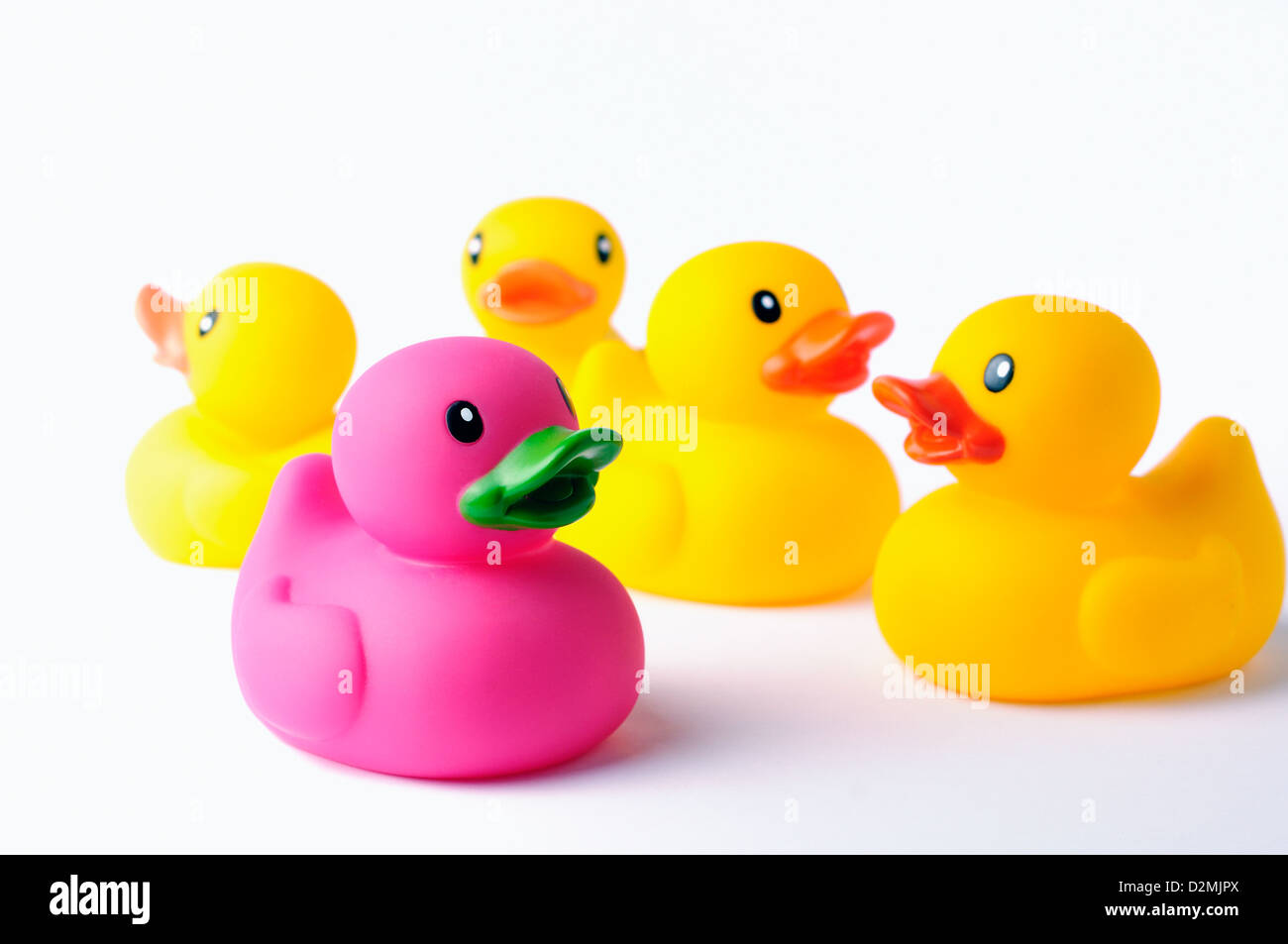 Stand out hi-res stock photography and images - Alamy