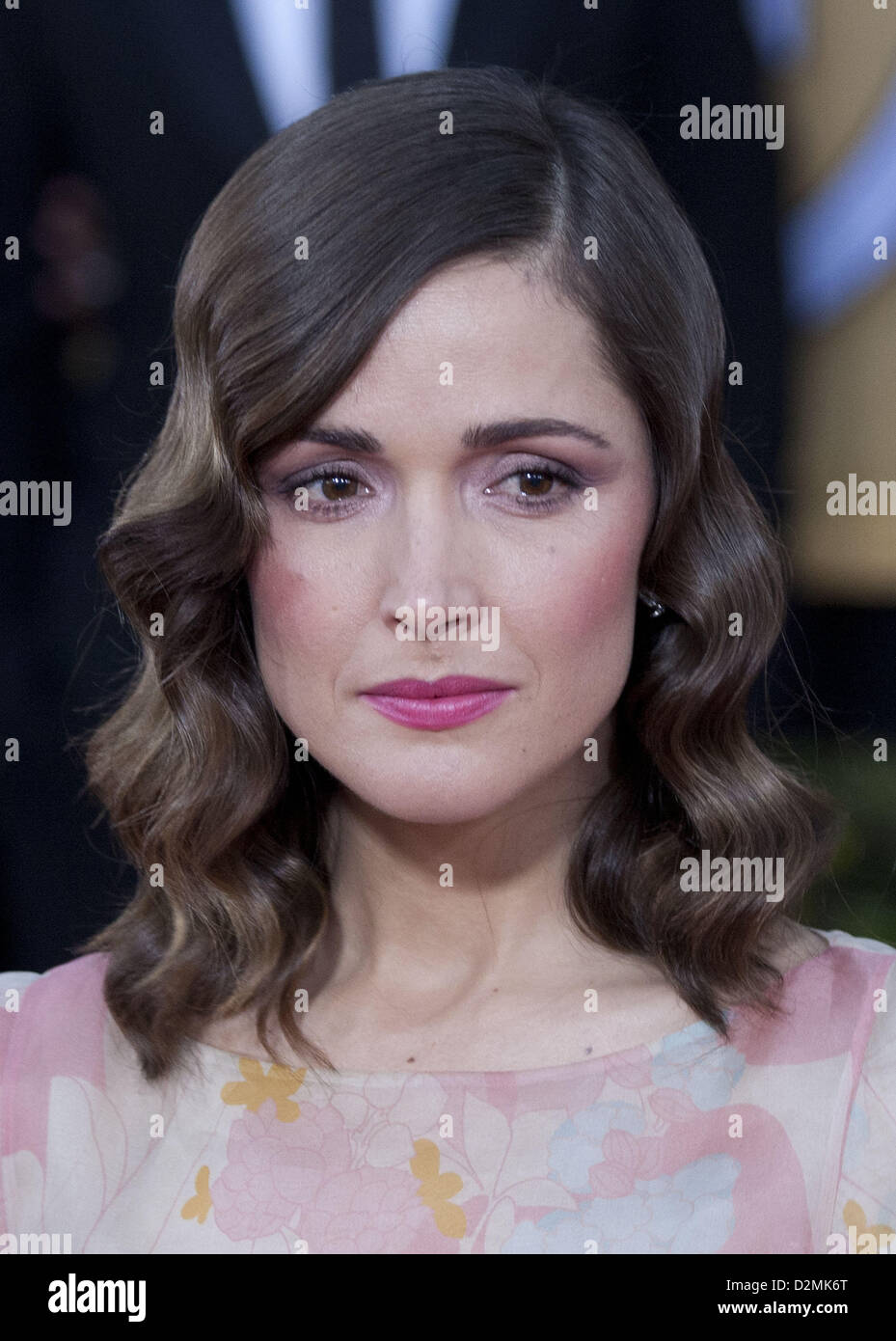 Los Angeles, California, USA. 27th January 2013. Rose Byrne at the 19th ...