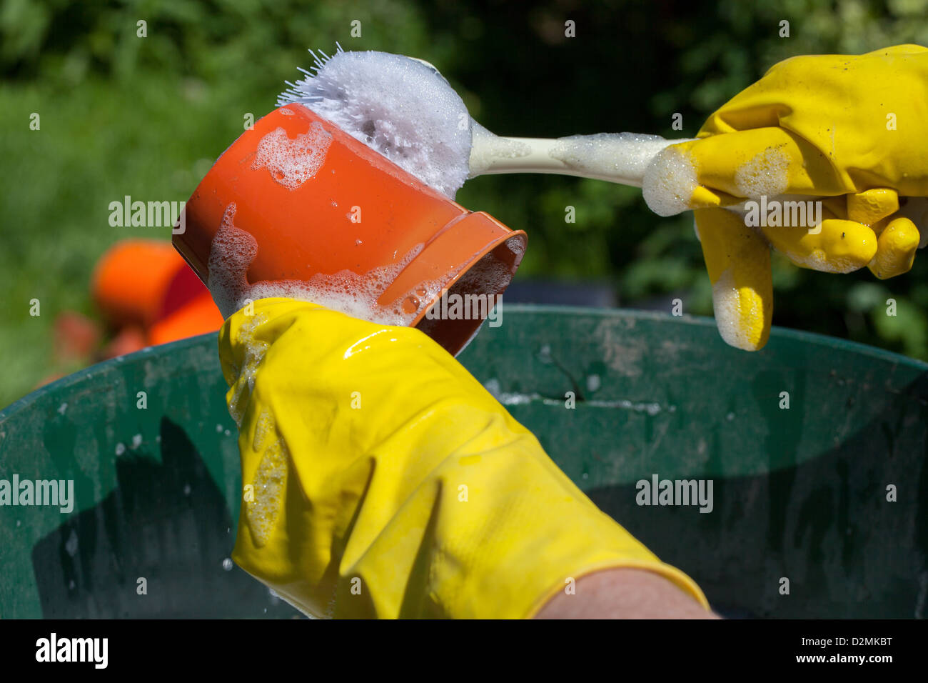 Cleaning Flowerpots High Resolution Stock Photography and Images - Alamy