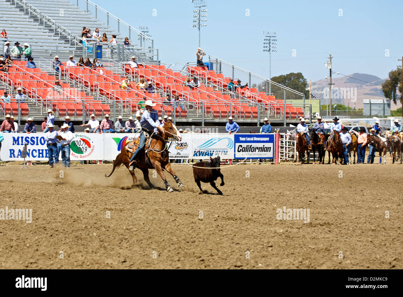 Cowboy competing in the calf roping event at the Salinas Rodeo in ...