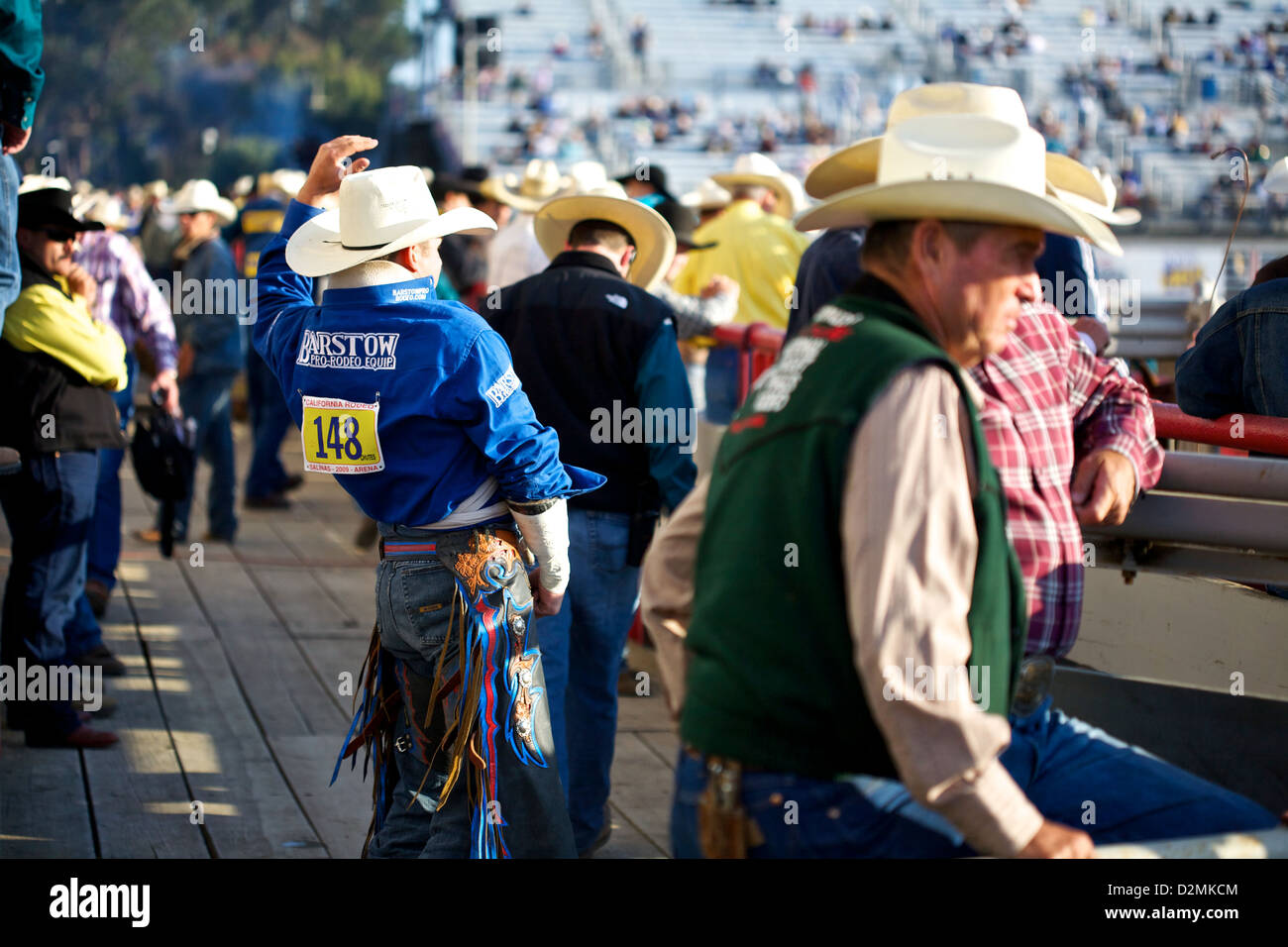 Rider warming up and preparing for his bronco ride at the Salinas Rodeo ...