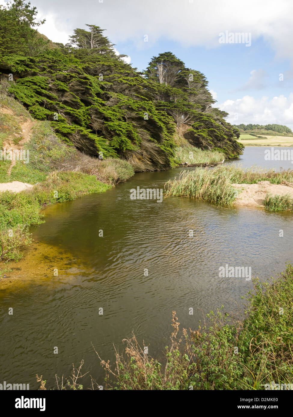 coastal lagoon scene with trees Stock Photo - Alamy