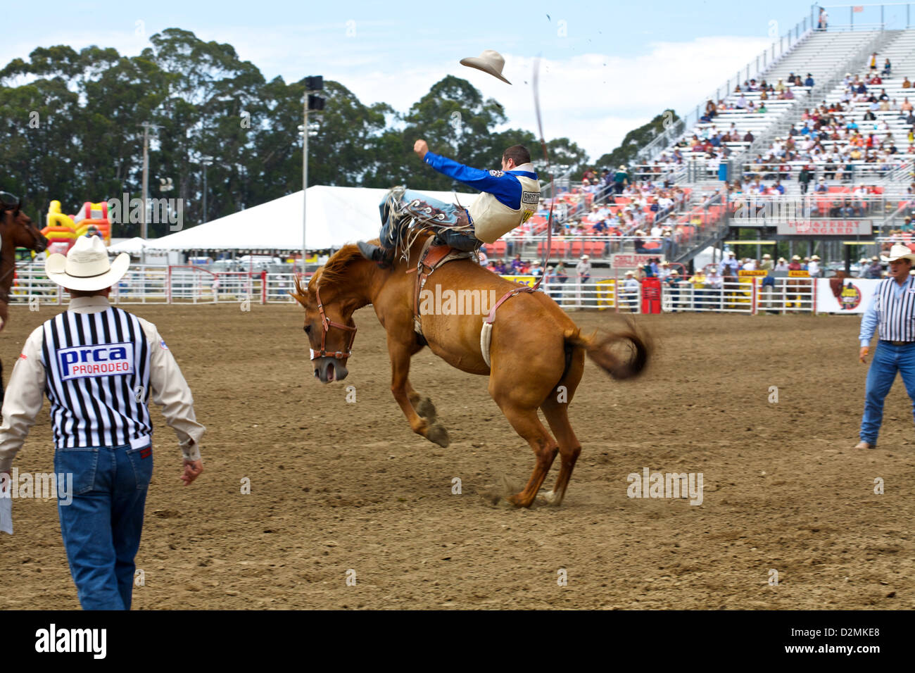 Bareback bronc riding hi-res stock photography and images - Alamy