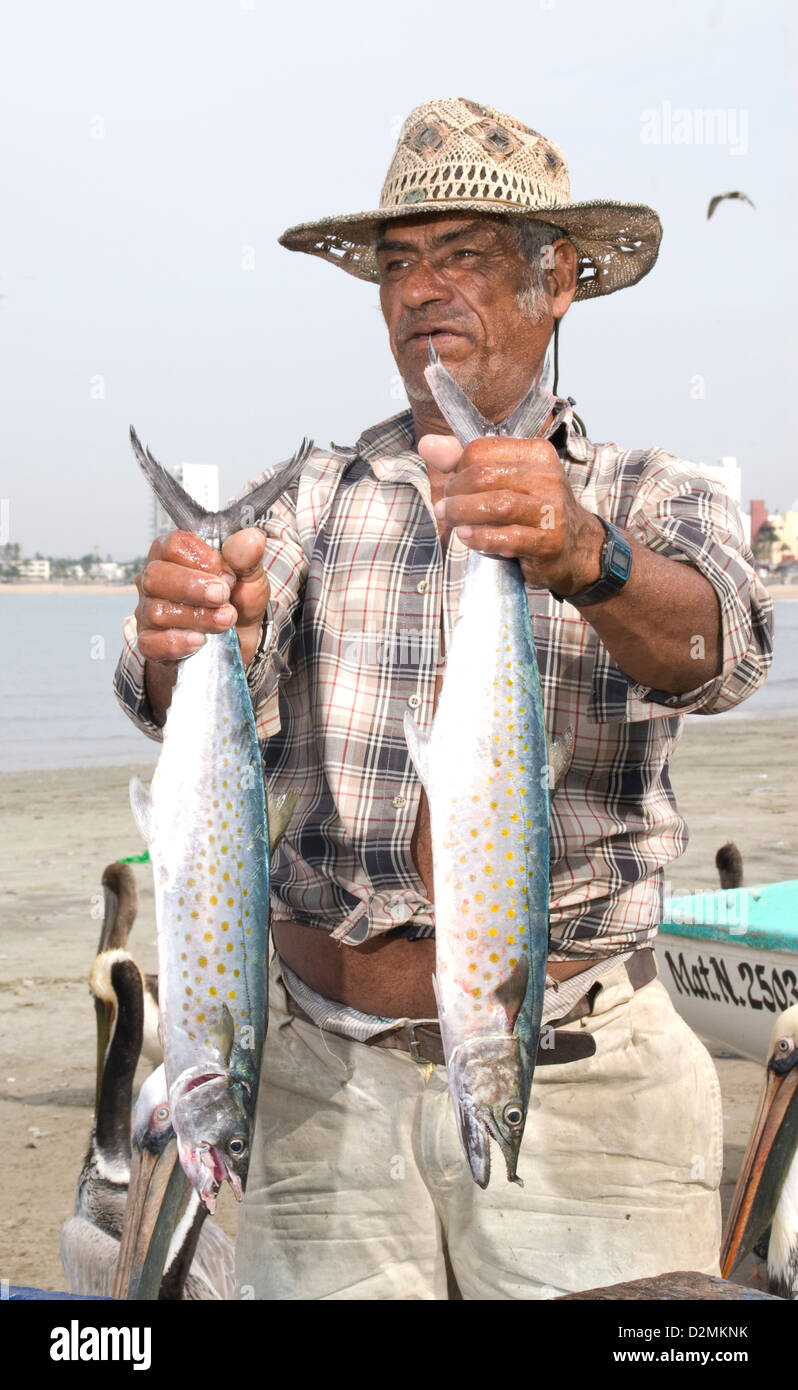 Panga fish hi-res stock photography and images - Alamy