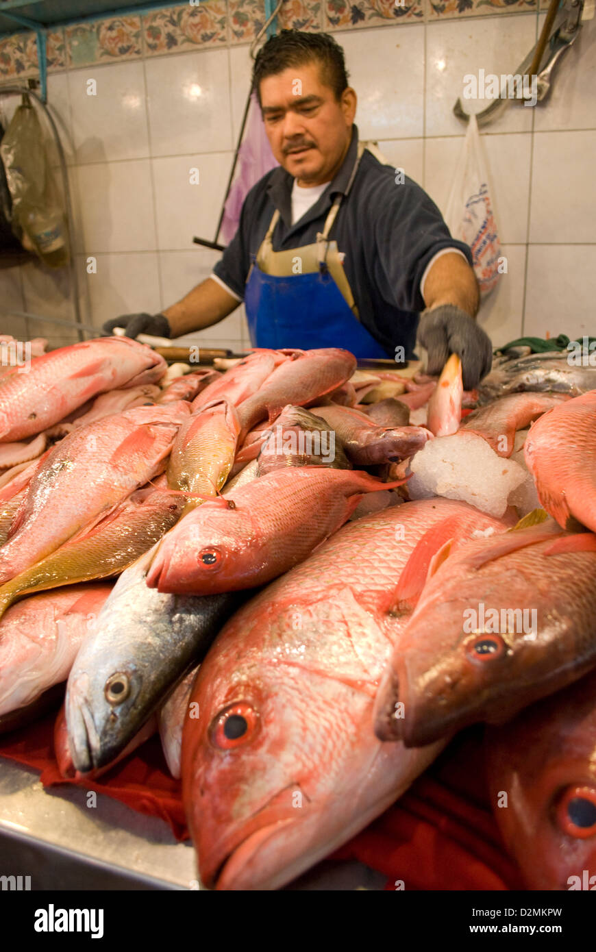 Fish market in mexico hi-res stock photography and images - Alamy