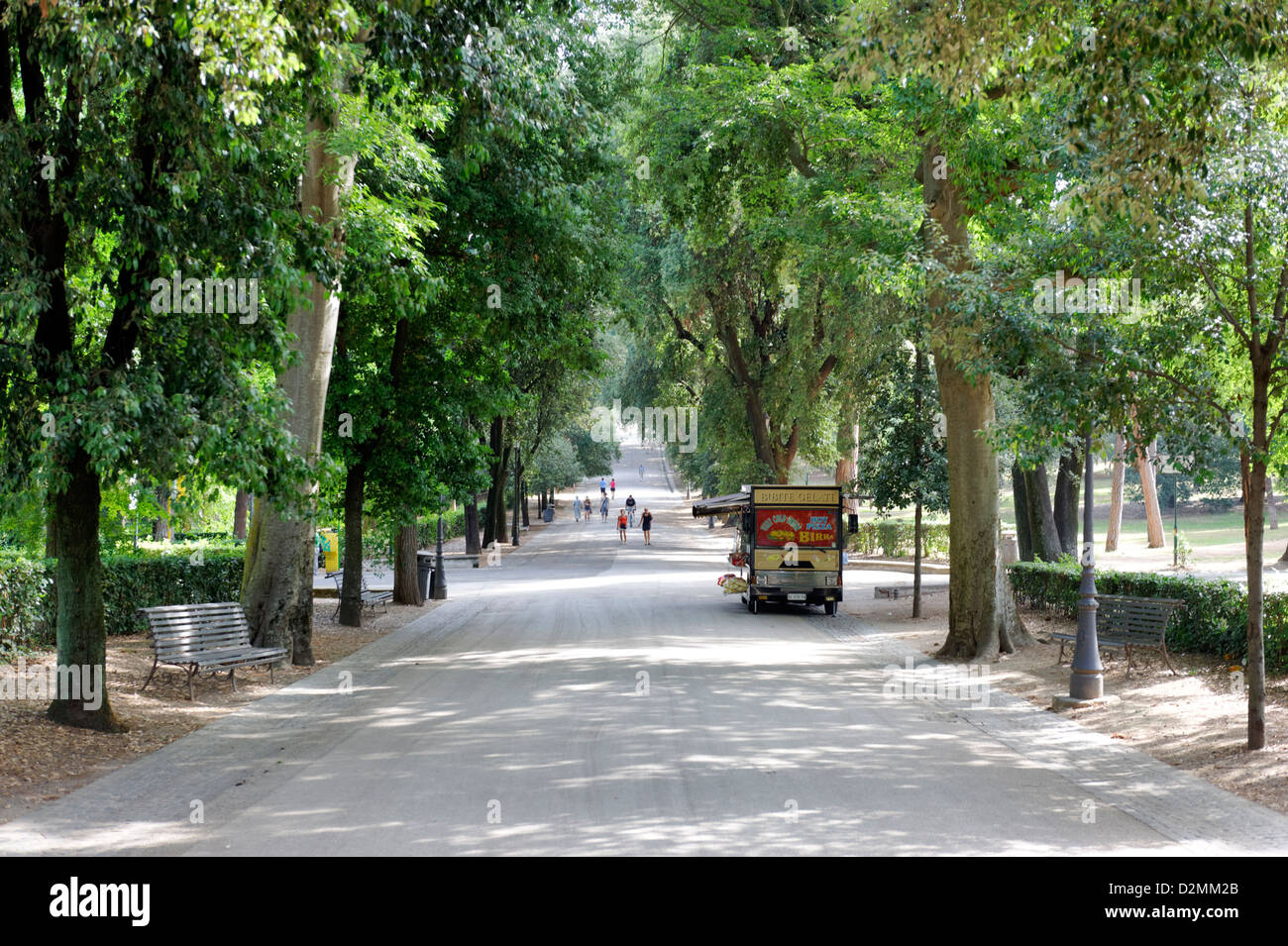 Rome. Italy. View of a leafy tree lined avenue at the Villa Borghese ...