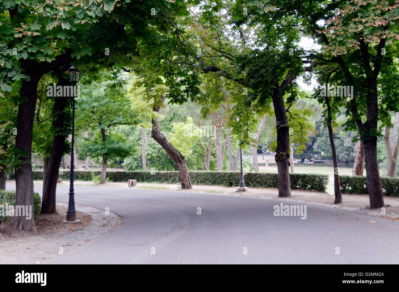 Rome. Italy. View of a leafy tree lined avenue at the Villa Borghese ...
